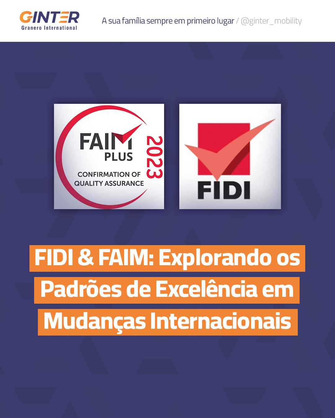 FIDI & FAIM: Explorando os Padrões de Excelência em Mudanças ...